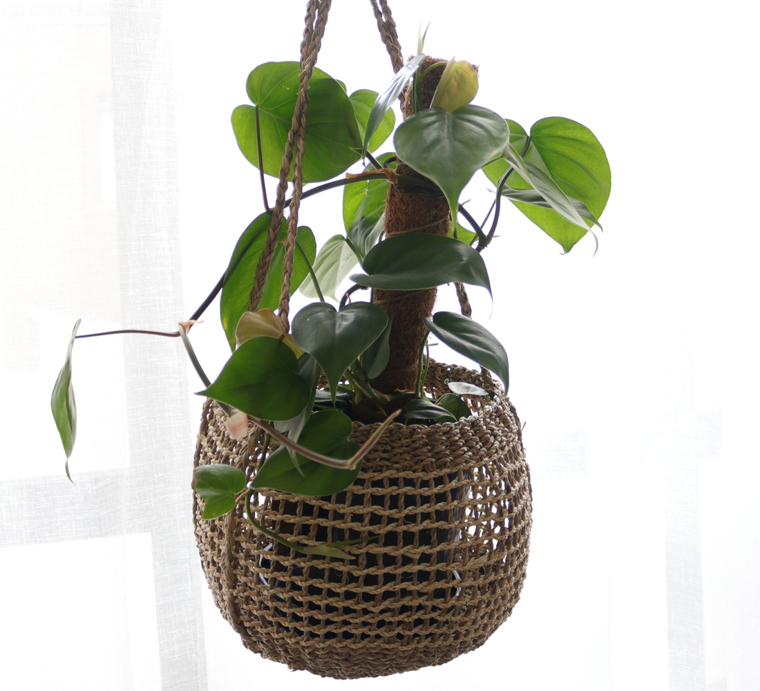 Sustainable Love – 12 tips for a conscious Valentine’s Day – Gone ...